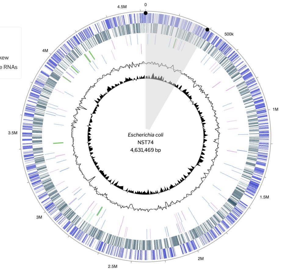 Turning Data Overload into Research Momentum - Morf