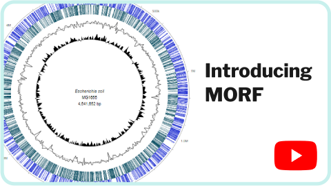 MORF-Bio : Transforming complex omics and bioprocess data into insights