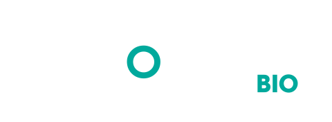 About Us - Morf